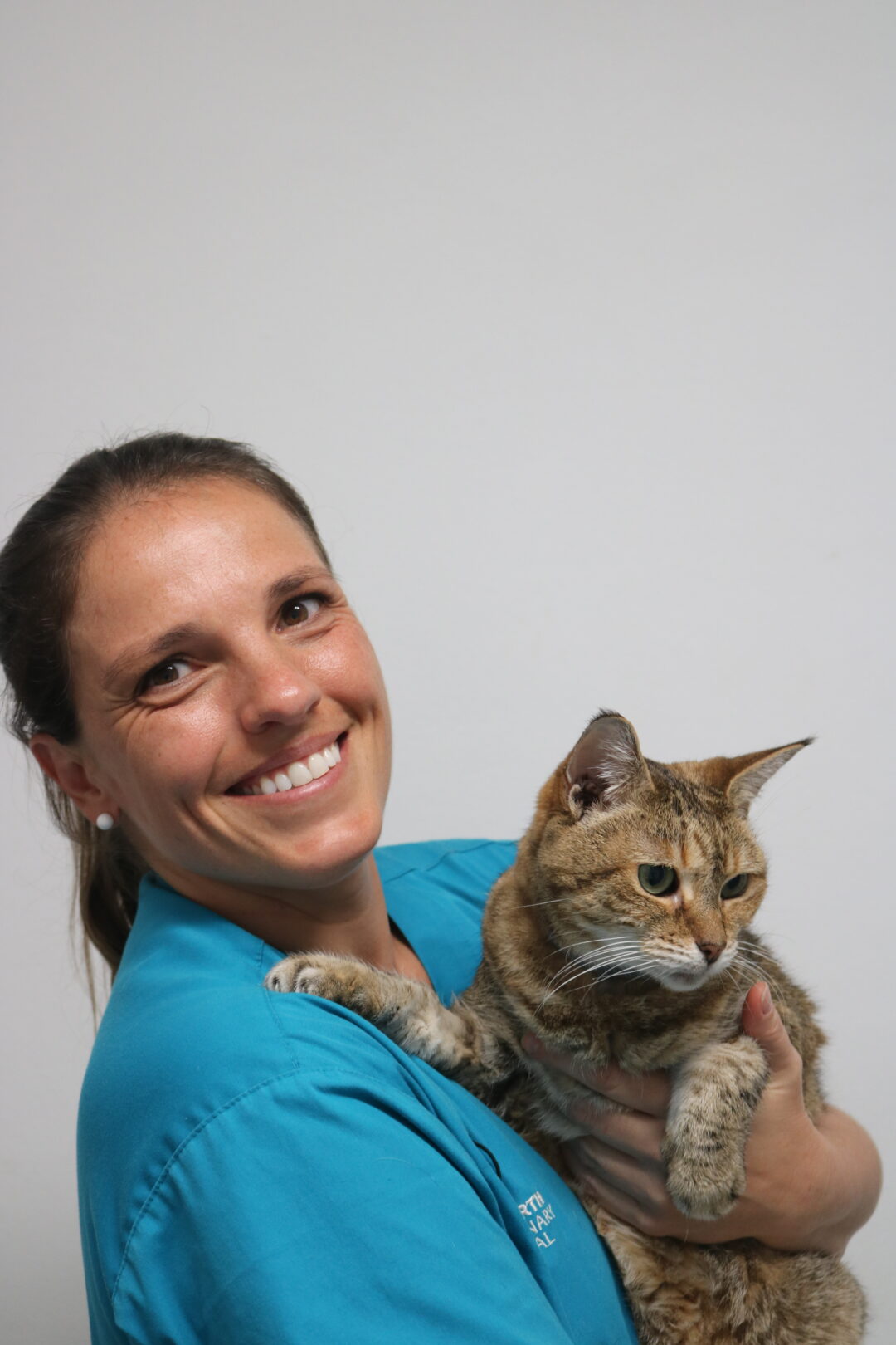 About us - Seaforth Vets